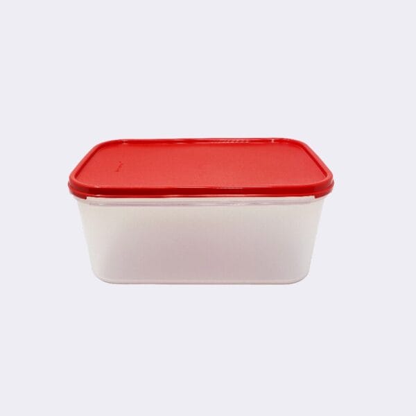 Tupperware MM Rectangle Containers | New Castle Party Sales